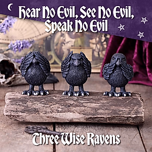 Nemesis Now Three Wise See No Evil Hear No Evil Speak No Evil Figurines, Adorable Hand-Painted Resin Collectibles and Gift - Ravens