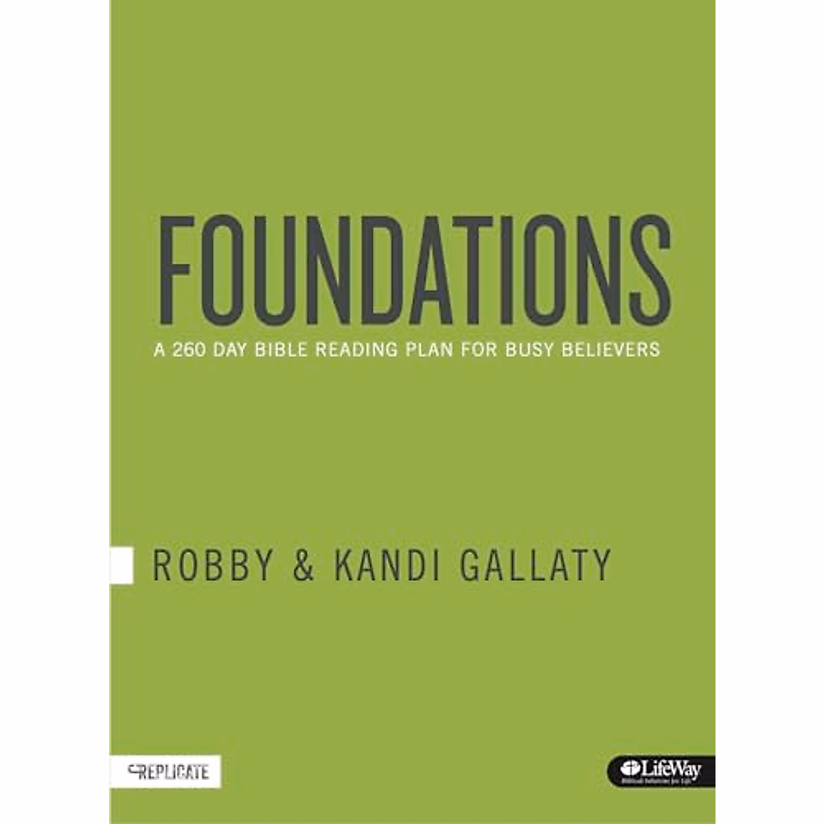 Foundations: A 260-Day Bible Reading Plan for Busy Believers (Journal) by Robby Gallaty (2015-11-01)