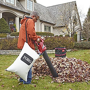 Toro 51662 Shredz-All Shred Ring,Black