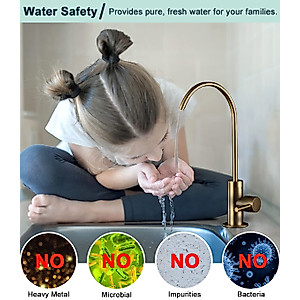 ESOW Kitchen Water Filter Faucet, 100% Lead-Free Drinking Water Faucet Fits Most Reverse Osmosis Units or Water Filtration System in Non-Air Gap, Stainless Steel 304 Body Brushed Gold Finish