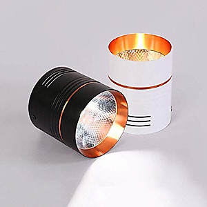 PEHUB 5W 10W 15W Downlight Indoor Ceiling Surface Mounted Spotlight Picture Display Accent Lamp Warm White 3000K 6000K LED Down Light Hotel Loft Villa Home Lighting High Brightness (Color : Black(15W