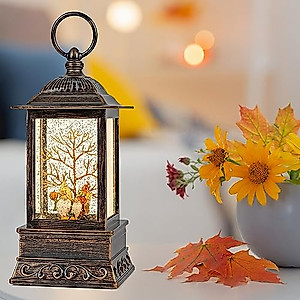 Gnome Snow Globe Fall Decorations for Home, Thanksgiving Glittering Lighted Lantern Autumn Decor