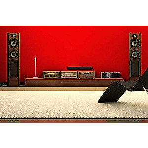 RGTech Monarch Indoor AM/FM Antenna, True 60 Mile Range Multidirectional Reception Radio Antenna