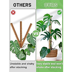 68'' Total Moss Monstera Pole Plants Support for Indoor Climbing Plants- Stable Stackable Coco Coir Stakes for Potted Plants, Easy to Use (6 Pack)