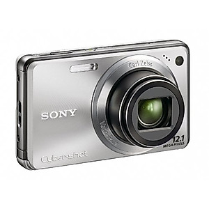 Sony Cyber-shot DSC-W290 12.1 MP Digital Camera with 5x Optical Zoom and Super Steady Shot Image Stabilization (Silver)