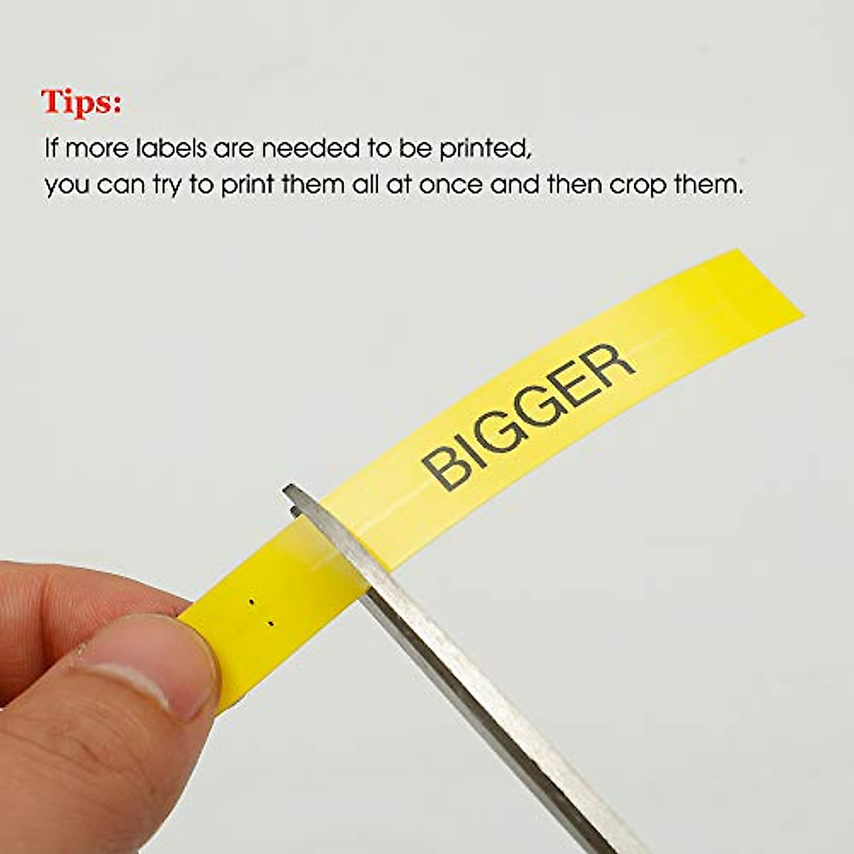 Bigger Compatible Label Tape Replacement for Brother TZe 231 Cassette Used with P-Touch PT-1000 PT-1010 PT-H101C GL-H105 PT-2030VP, 12mm x 8m, 5 Pack