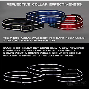 Max and Neo MAX Reflective Metal Buckle Dog Collar - We Donate a Collar to a Dog Rescue for Every Collar Sold (Medium, Black)