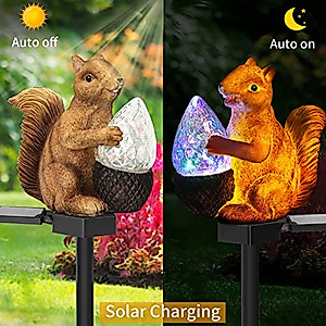 Garden Stake Solar Light Outdoor Decorative Cute Squirrel Solar Powered Figurine Light Waterproof Statue with Solar Led Light for Outside Decor Yard Lawn Garden Ornaments Gifts for Mom Women