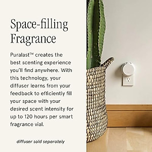 Pura & Brooklyn Candle Studio Home Scent Refill - Smart Home Air Diffuser - Up to 120-Hours of Luxury Fragrance per Vial - Clean & Safe Diffuser Fragrance - 2 Pack, Cardamom