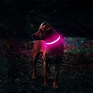 MASBRILL Light Up Dog Collar, Glow LED Dog Collar Rechargeable Lighted Dog Collar Flashing Night Walking Collar Waterproof, 4 Colors with 3 Sizes for Small Medium Large Dogs