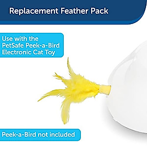 Peek-A-Bird Cat Toy Replacement Feathers – 2 Pack Refill Parts – Interactive Teaser Toy for Indoor Cats All Breed Sizes
