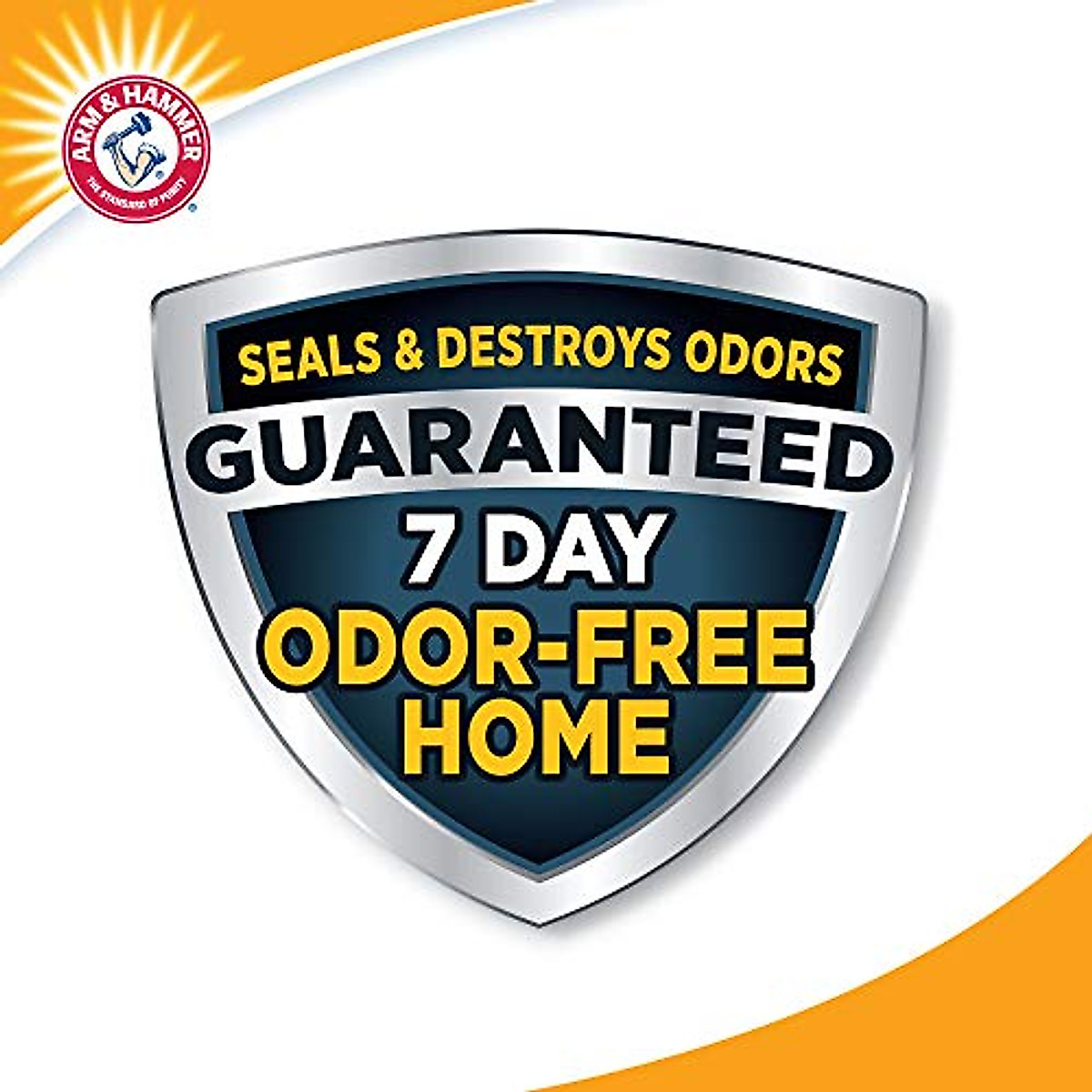 Arm & Hammer Clump & Seal Litter, Multi-Cat Litter 38 lb.