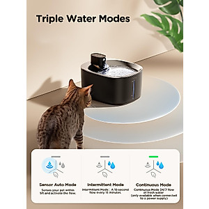 FEELNEEDY Cat Water Fountain Battery Operated, 4L/135 fl oz Pet Water Fountain for Cats and Dog with Motion Sensor, Wireless Ultra Quiet Cat Drinking Fountain with 2 Filters (Black YPD-C004P)