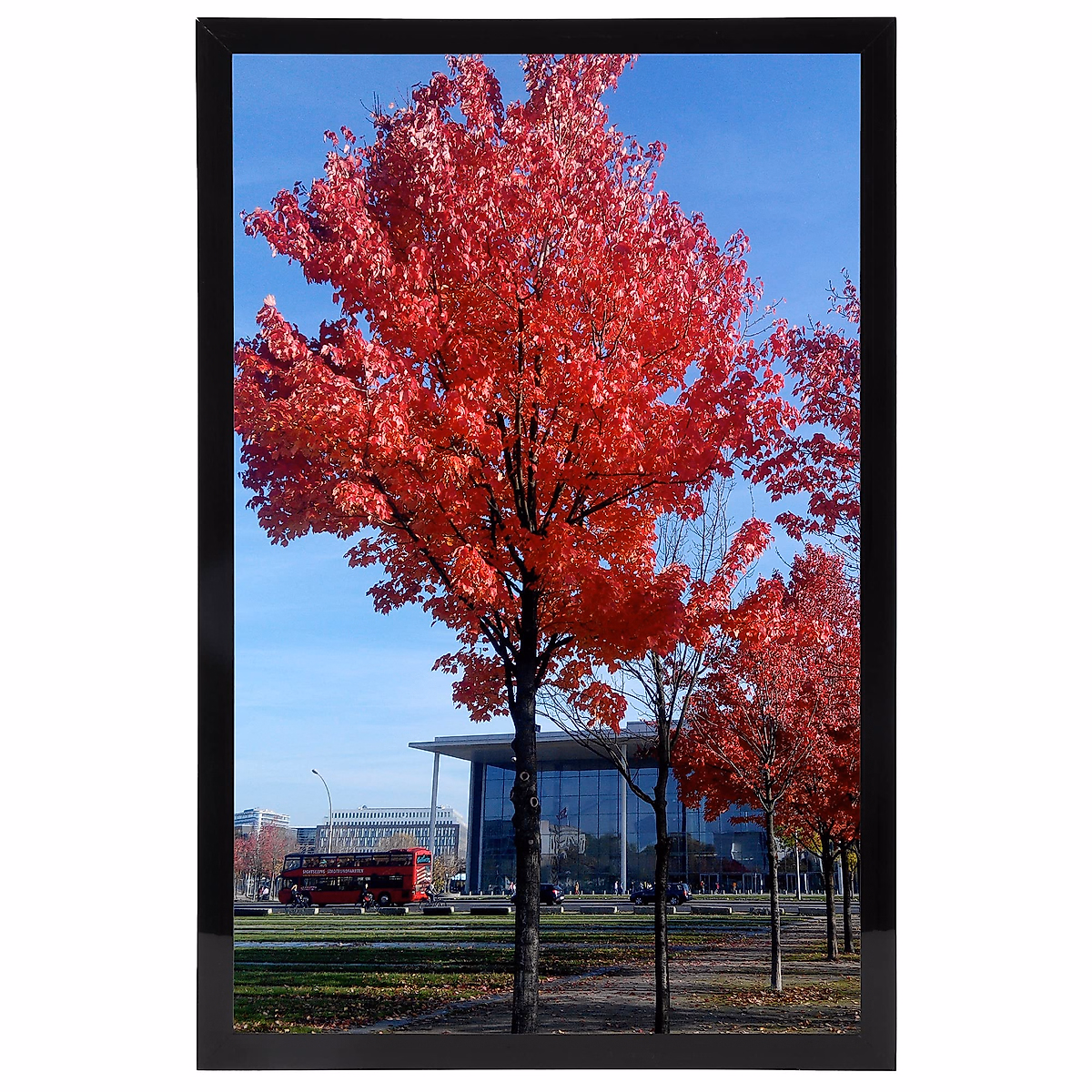 Medog 11x14 Picture Frame Black Poster Frame 11x14 8x10 Picture Frame In Black With Mat Opening 8x10 Set of 1 Display Pictures 11x14 Inch or 8x10 Black Picture Frame Wall Mounting (P1U 1P BA)