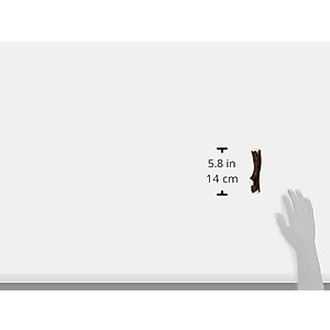 Nylabone Extreme Tough Dog Chew Toy Wooden Stick, Durable, Cleans Teeth, Bacon Flavour, M, for Dogs Up to 16 kg