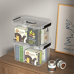 Jandson 4 Packs Plastic Storage Box with Handle, 10 L Clear Lidded Organizer Bin