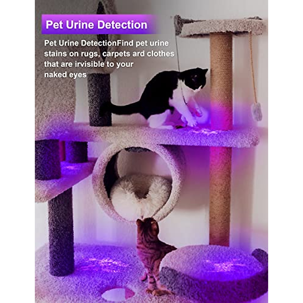 Fulighture Black Light Flashlight Mini, Small UV Black Light for Pet, Urine Detection for Dog Cat, Portable Ultraviolet Blacklight Flashlights 395nm, Resin Curing, Bed Bug, AAA Batteries Included