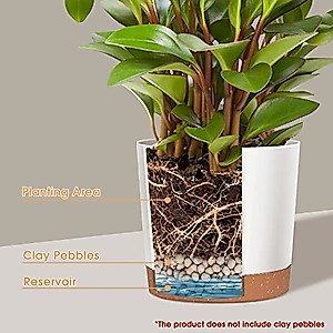 kubvici Planters for Indoor Plants, 8 Inch Plant Pots 2 Pack Flower Pots with Drainage and Saucer for Indoor Outdoor Plants, Plastic Indoor Planter Garden Pot White 8”