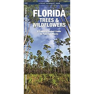Florida Trees & Wildflowers: A Folding Pocket Guide to Familiar Plants (Nature Observation North America)