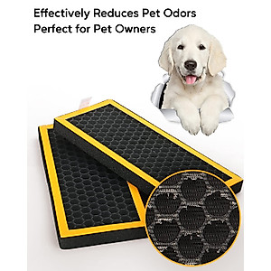 FMDZFL 2-Pack Carbon Replacement Filters Compatible with HoMedics PetPlus at-PETODR Filter and TotalClean at-OFL Filter for AT-PET01, AT-PET02