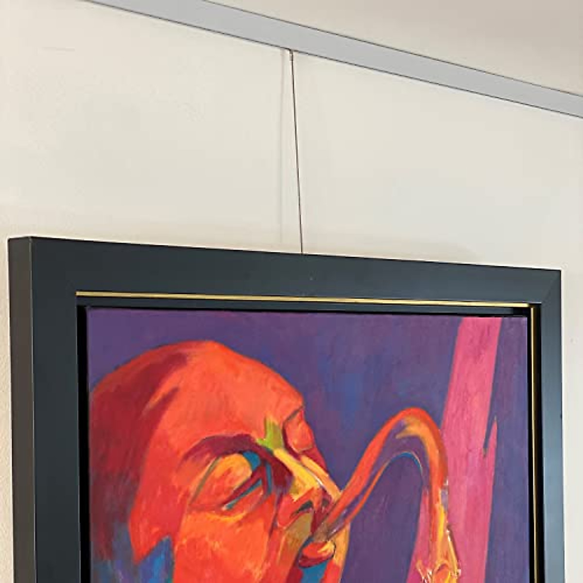 Add-on for Picture Rail Hanging System Kit – (2) Twist Steel Cables (48-in) & (2) Picture Rail Hooks – Strong Metal Hanging Cables & Hooks for Hanging Picture Frames, Arts & Paintings at Home & Office