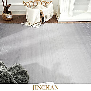 jinchan Area Rug 4x6 Modern Abstract Rug Grey Accent Rug Indoor Kitchen Rug Striped Ombre Print Mat Low Pile Rug Soft Carpet Contemporary Floor Cover for Living Room Bedroom Dining Room