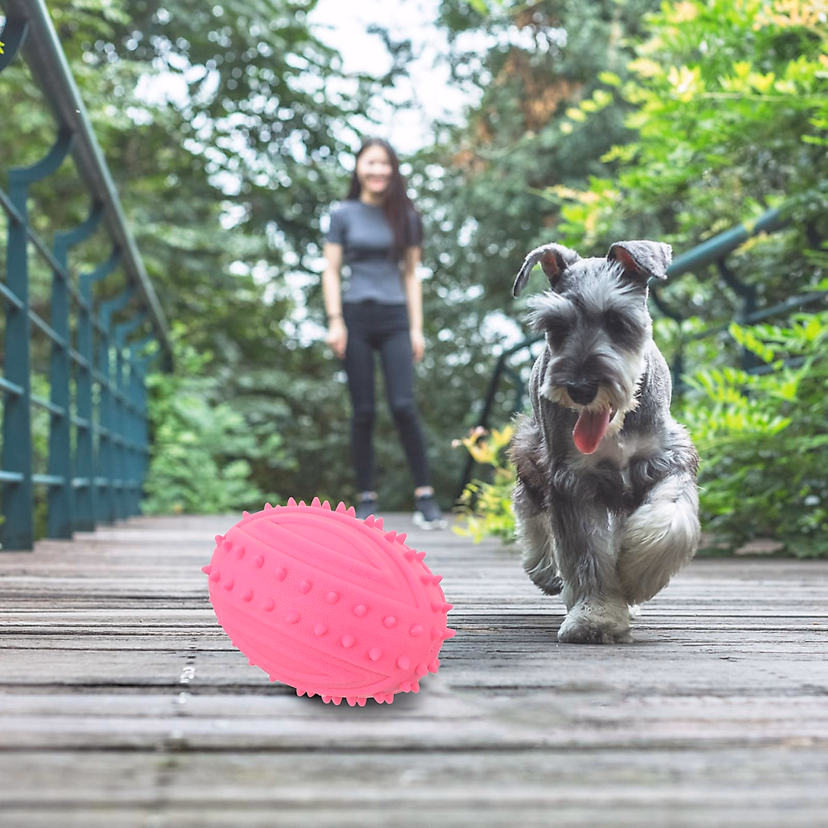 LUOZZY 3Pcs Dog Chewing Ball Puppy Squeaky Ball Interactive Teething Rugby Ball Toy Indoor Outdoor Plaything Pet Supply