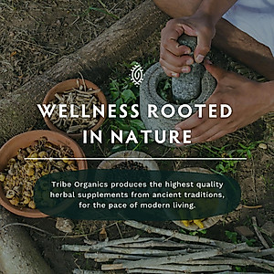 TRIBE ORGANICS Boswellia Serrata Complex Supplement for Joint Support, Muscle Relief - Vegetarian Non-GMO 120 Capsules, High Potency - Boswellin Super with Ginger Extract & Black Pepper - 420mg