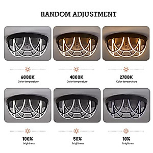 Ceiling Fan with Lights Flush Mount Ceiling Fan with Remote Control, 17 Inch Industrial LED Low Profile Ceiling Fan with Lights 3-Color Dimming for Bedroom Kitchen Dining Living Room