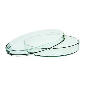 EISCO Petri Dish, 5.9" (150mm) - Beaded Edges Easy to Sterilize for Repeated Use Borosilicate Glass- Eisco Labs