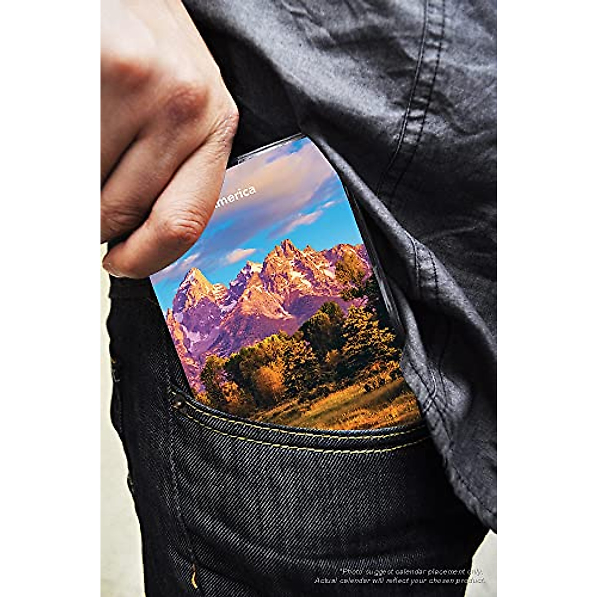 Horse Lovers 2022 3.5 x 6.5 Inch Two Year Monthly Pocket Planner, Animals Equestrian