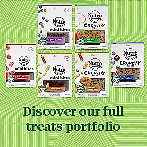 NUTRO Crunchy Dog Treats with Real Mixed Berries, 16 oz. Bag