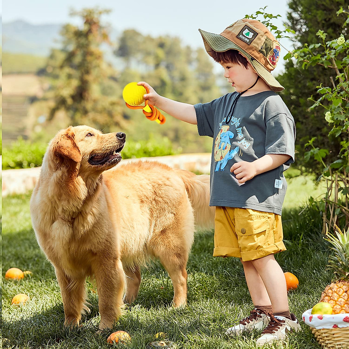 Dog ball on rope toys for aggressive chewers,Interactive dog ball toy almost indestructible for small dogs,Floating puppy chew toys2.76in