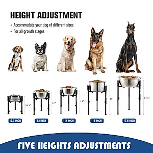 Adjustable Dog Bowl Stand - 5 Heights, Fits 6.6-11" Wide Bowls, Elevated Dog Bowls Holder for Medium and Large Dogs(Triangular Tray)