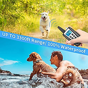PaiPaitek Bark Collar with Remote, Automatic Bark and Training Collar Combo with Beep, Vibration, Shock, Auto Bark Mode, Up to 3300ft Range Dog Shock Collar for Small, Large and Medium Dogs