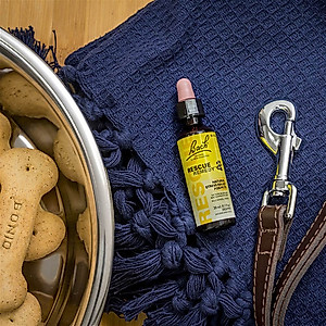 Bach Flower Essences Rescue Remedy Pet 20 Ml (2 Pack)