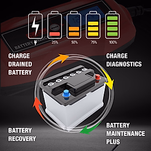BIG RED TAM4DVLR Torin Portable 6V and 12V, 2/4-Amp Trickle Charger/Battery Maintaince: Fully-Auto Smart Battery Charger, Battery Desulfator with Temperature Compensation