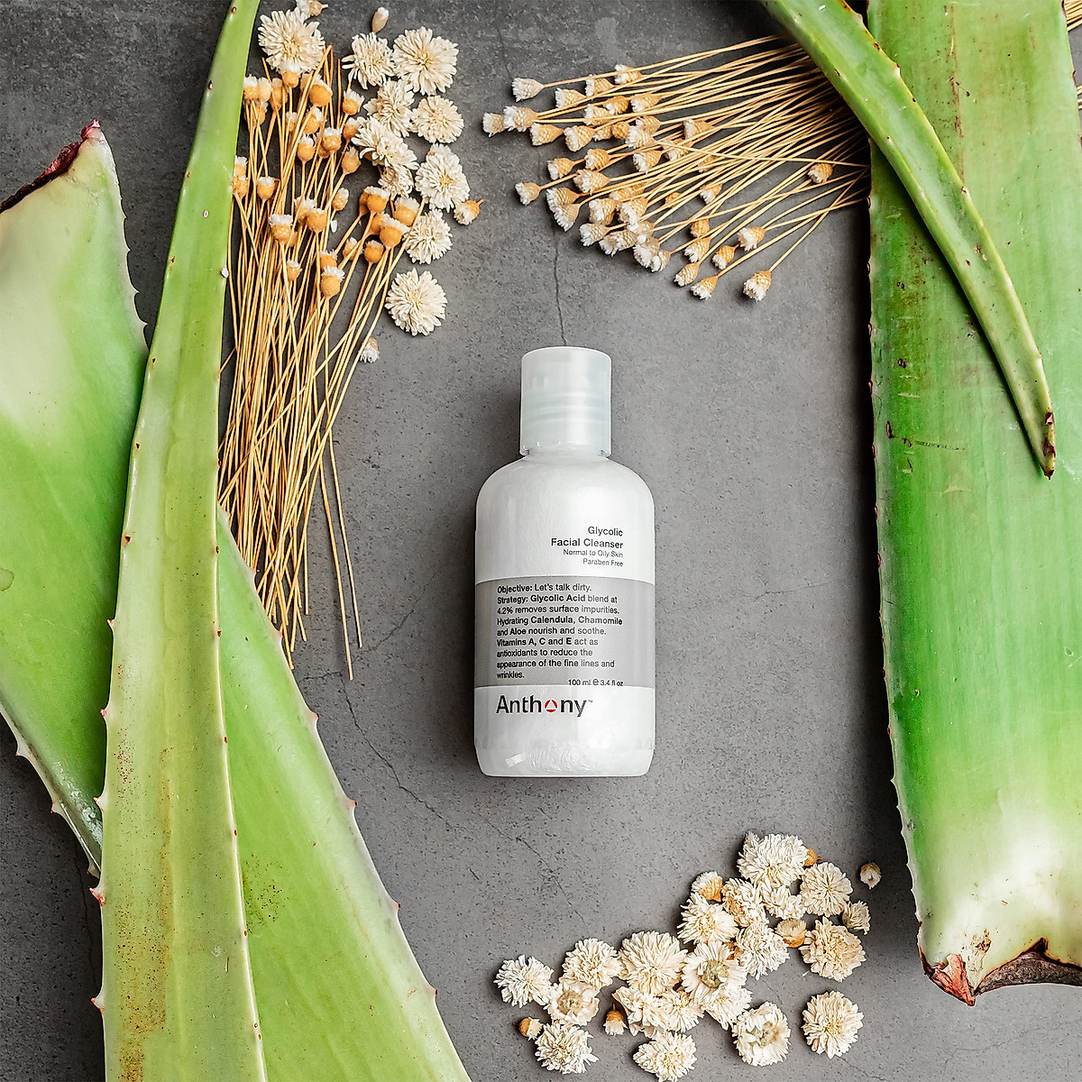 Anthony Face It & Go Kit, Set Includes Glycolic Facial Cleanser 3.4 Fl Oz. All Purpose Facial Moisturizer 3 Fl Oz. Facial Scrub 3.4 Fl Oz.