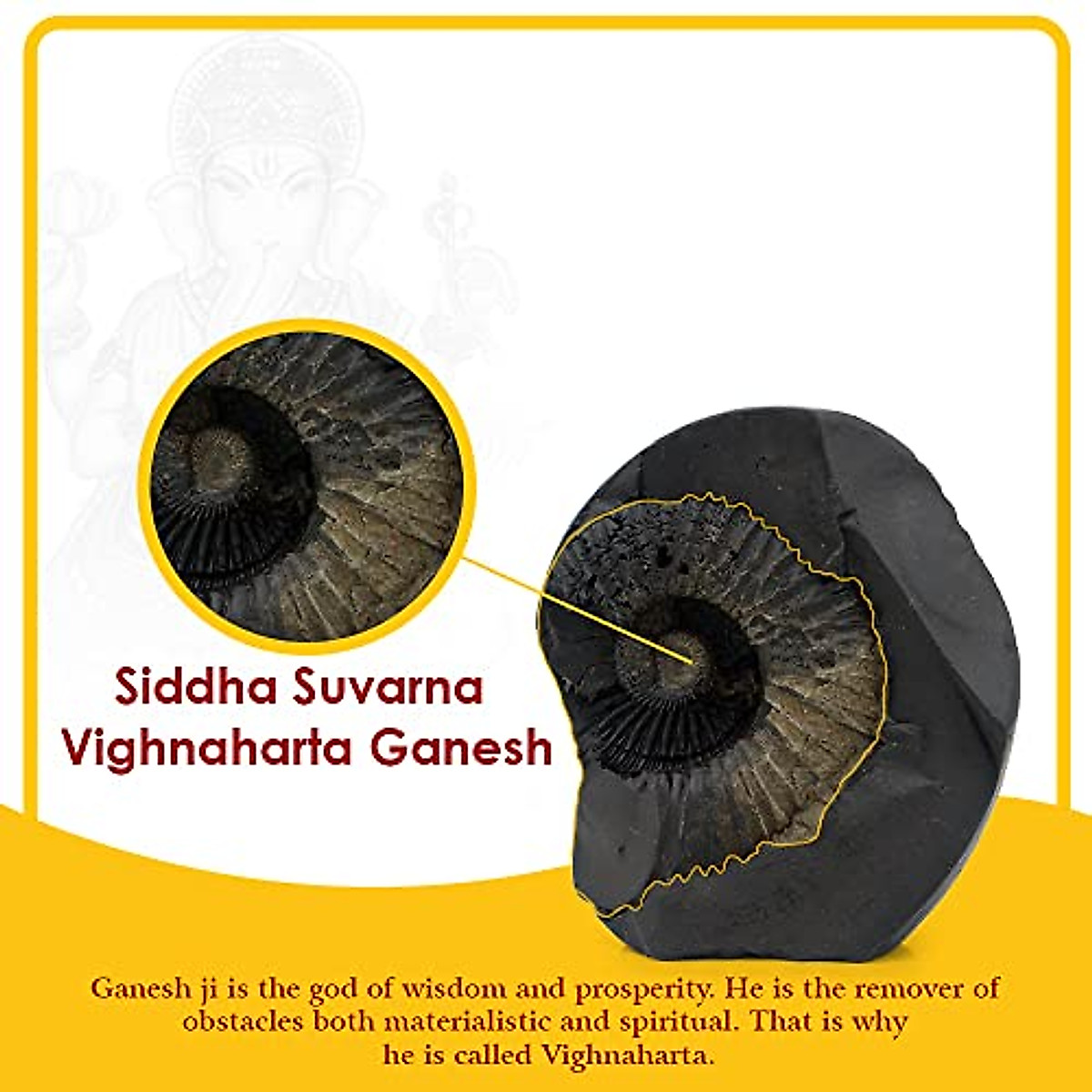 Vedic Vaani Natural Gandaki River Stone Vakratunda Ganesh Shaligram Statue (1 Pc)