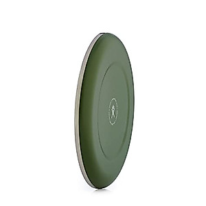 10 Inch Plate Olive