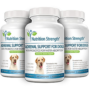 Nutrition Strength Adrenal Support for Dogs, Support for Dogs with Cushing's Disease, Maintain a Healthy Coat and Skin, Promote Normal Urination, Thirst and Appetite, 120 Chewable Tablets