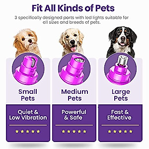 Dog Nail Grinder With LED Light,2-Speed Powerful Motor Painless Electric Dog Nail Trimmers Upgrade Super Quiet Dog Nail Clipper Set for Small Medium Large Dogs Cats Paws Grooming & Smoothing Tools