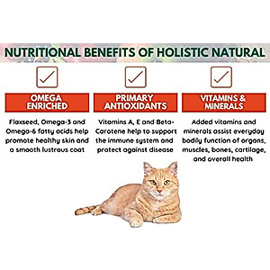 Bench & Field Holistic Natural Premium Adult Dry Cat Food, Chicken Meal and Brown Rice Recipe 3 lb Bags (Pack of 3)