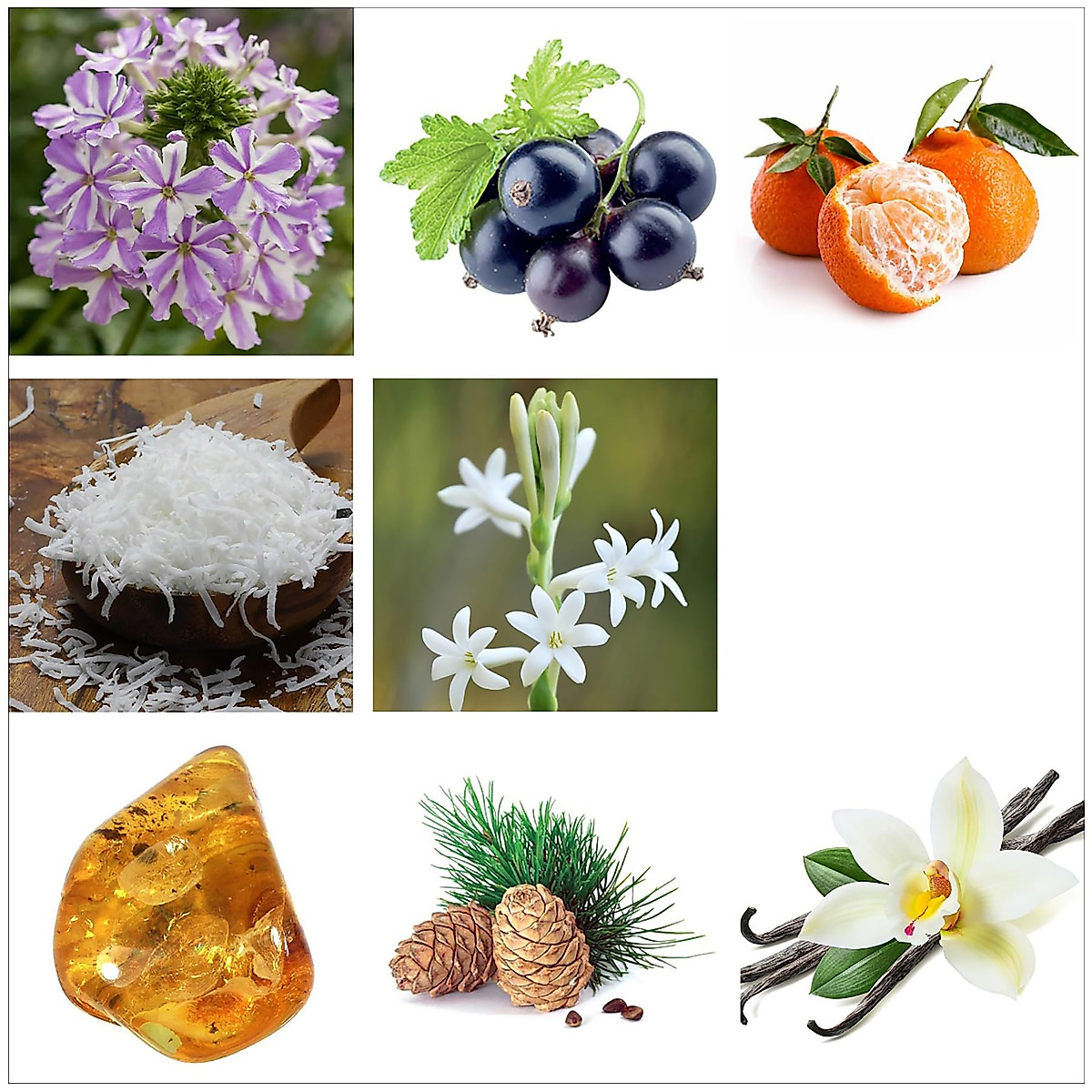 Rachel Zoe Fearless Eau De Parfum Spray - Gourmand Fragrance Body Spray for Women - Vanilla And Tuberose Musk - Designer Womens Perfume - 3.4 oz