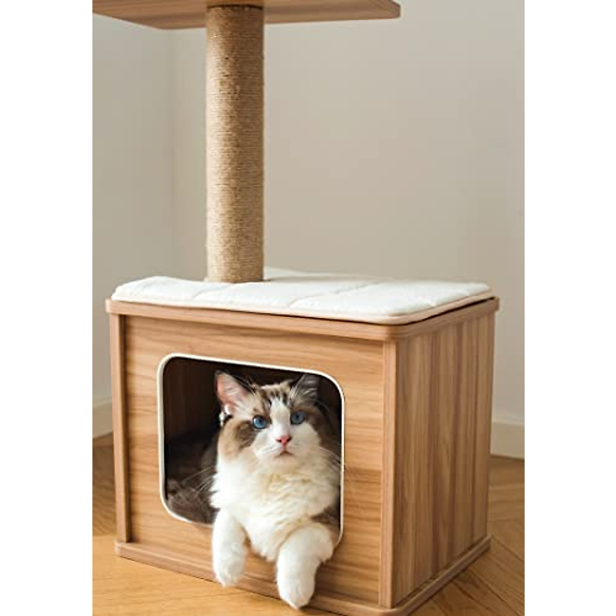 Catry Cat Tree - A Cat Play House Combo with Cat Hammock, Scratching Post, and Comfort Home Invariably Trap Kitten to Stay Around This 30” Easy Assembled Sturdy Cat Furniture, Beige