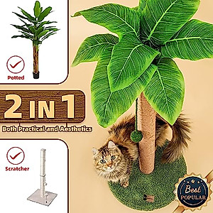 Meowoou Scratching Post 33 inch Tall for Indoor Cats with Sisal Rope, Scratcher for Cute Kitten