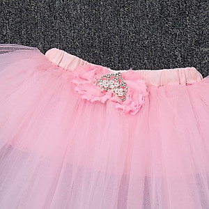 Newborn Coming Home from Hospital Outfit: The Princess Has Arrived Baby Girl Romper Tulle Tutu Skirt Headband 1st Birthday Cake Smash Photoshoot New Born Infant Girls Clothes Full Set Pink 0-3 Months