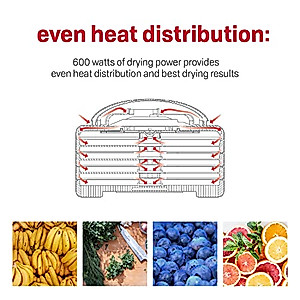 Nesco FD-79 Snackmaster Pro Digital Food Dehydrator for Snacks, Fruit, Beef Jerky, Meat, Vegetables & Herbs, Gray, 4 Trays