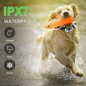 [2023 Upgrade] Bark Collar with Additional Mini Remote - Dog Bark Collar with 4 Training Modes - IPX7 Waterproof Dog Shock Collar for Indoor, Garden & Courtyard, Safe Bark Collar for Most Breed Sizes