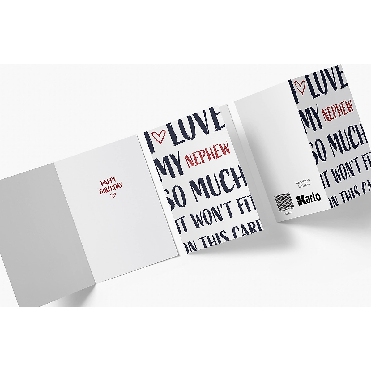 Sweet and Funny Birthday Card for Nephew, Large 5.5 x 8.5 Nephew Birthday Card, Happy Birthday Nephew Card, Birthday Card Nephew, Karto This Much Nephew